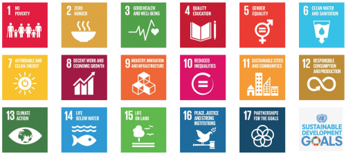 A Swedish lady making progress on sustainable development
