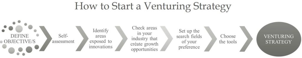Tips to Launch a Corporate Venturing Program - Entrepreneurship