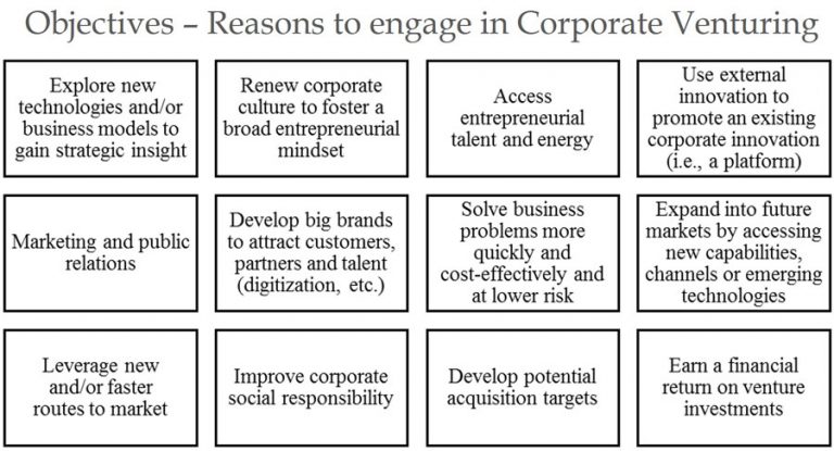Tips to Launch a Corporate Venturing Program - Entrepreneurship