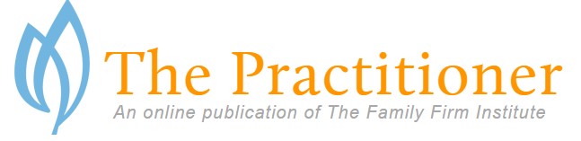 Legal Practitioner Logo